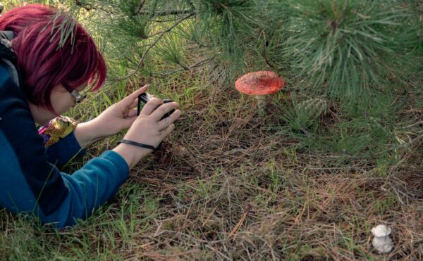 MYCOmmunity – Applied Mycology