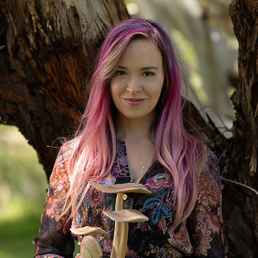 Fungi Festival – MYCOmmunity