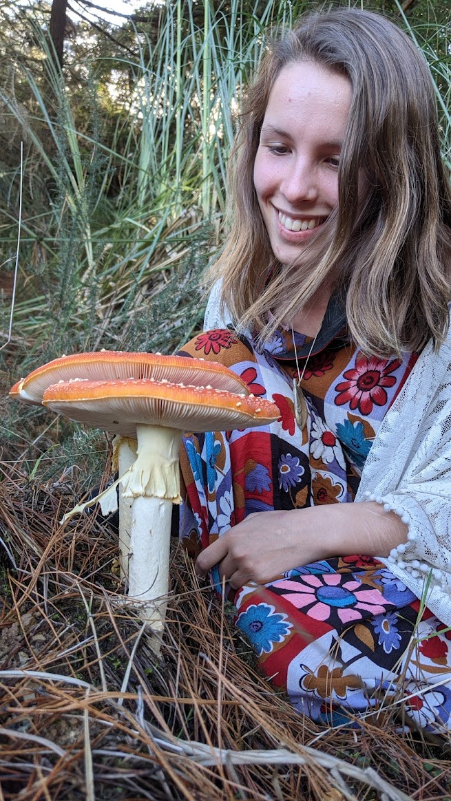 Fungi Festival – MYCOmmunity